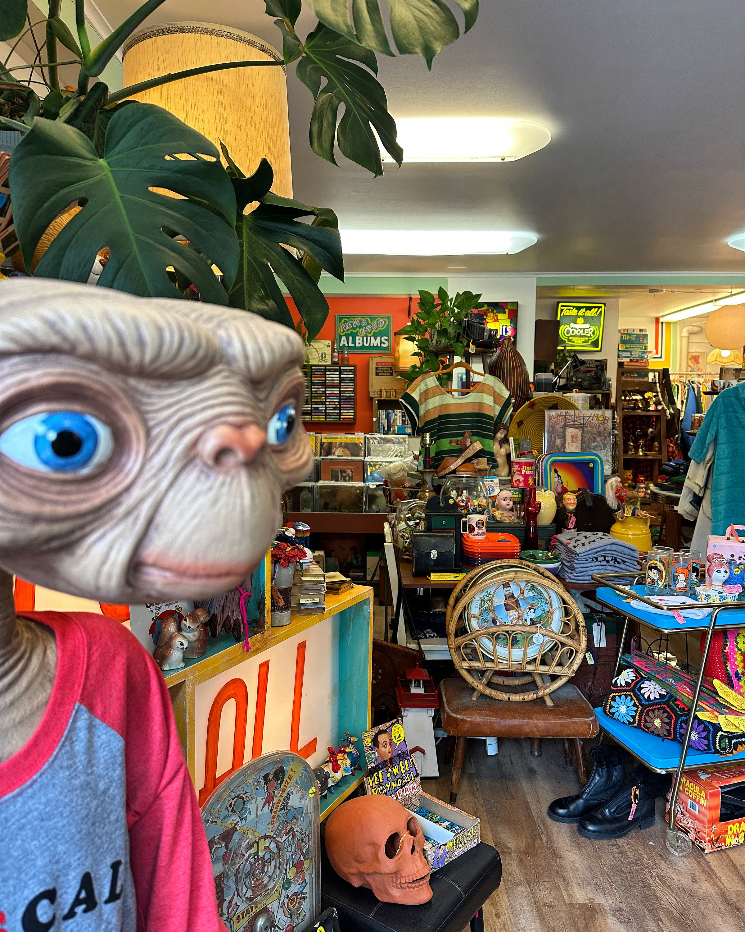 Home | Rascal Salvage Vintage